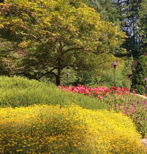 Jennie’s Masterpiece… the story of Butchart Gardens | notesonaboardingpass