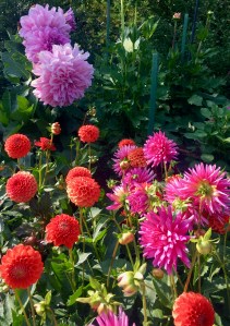 Jennie’s Masterpiece… the story of Butchart Gardens | notesonaboardingpass